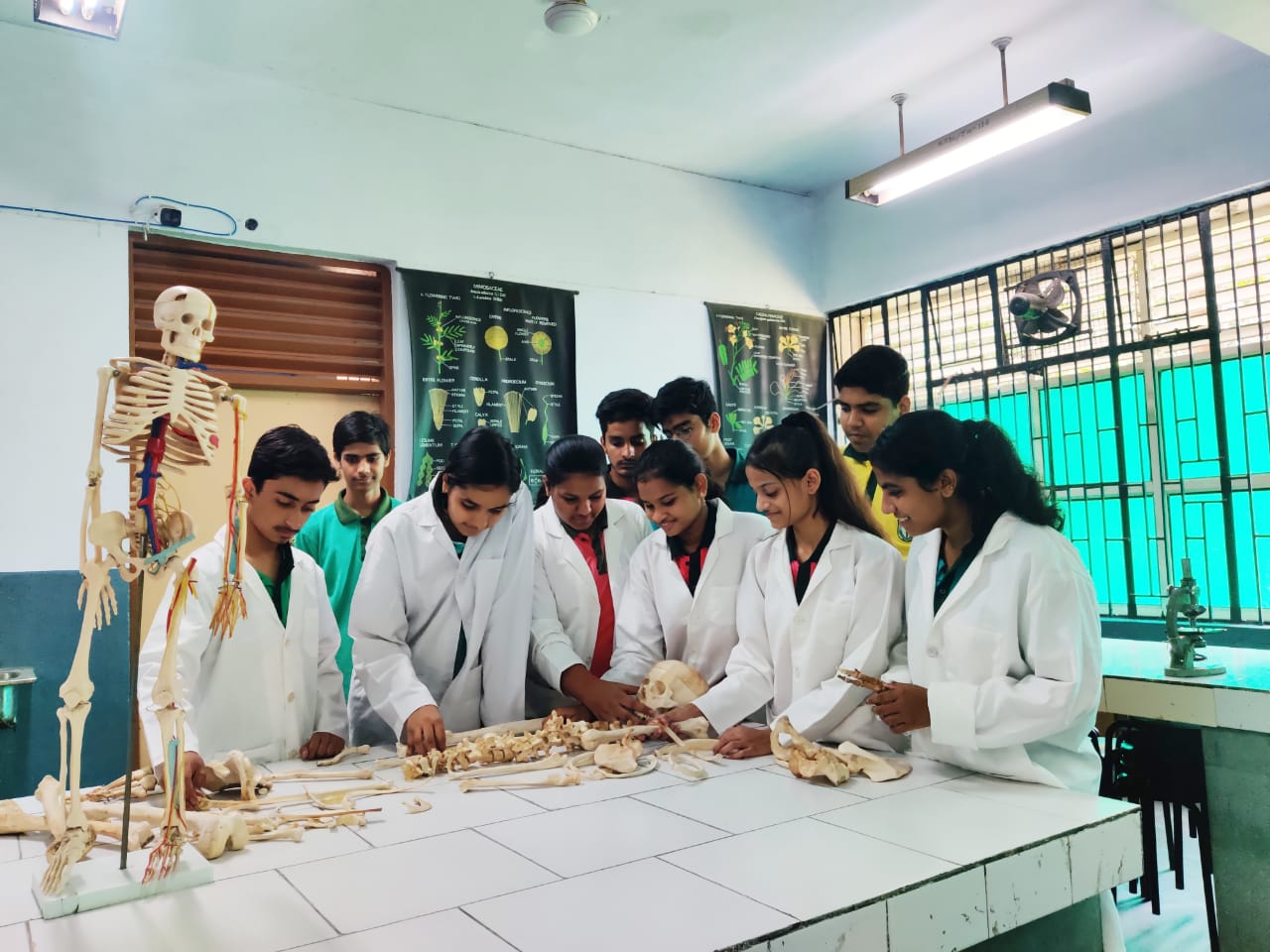 Awarded Best CBSE School in Dadri Region | DPS Vidyut Nagar | Top ...