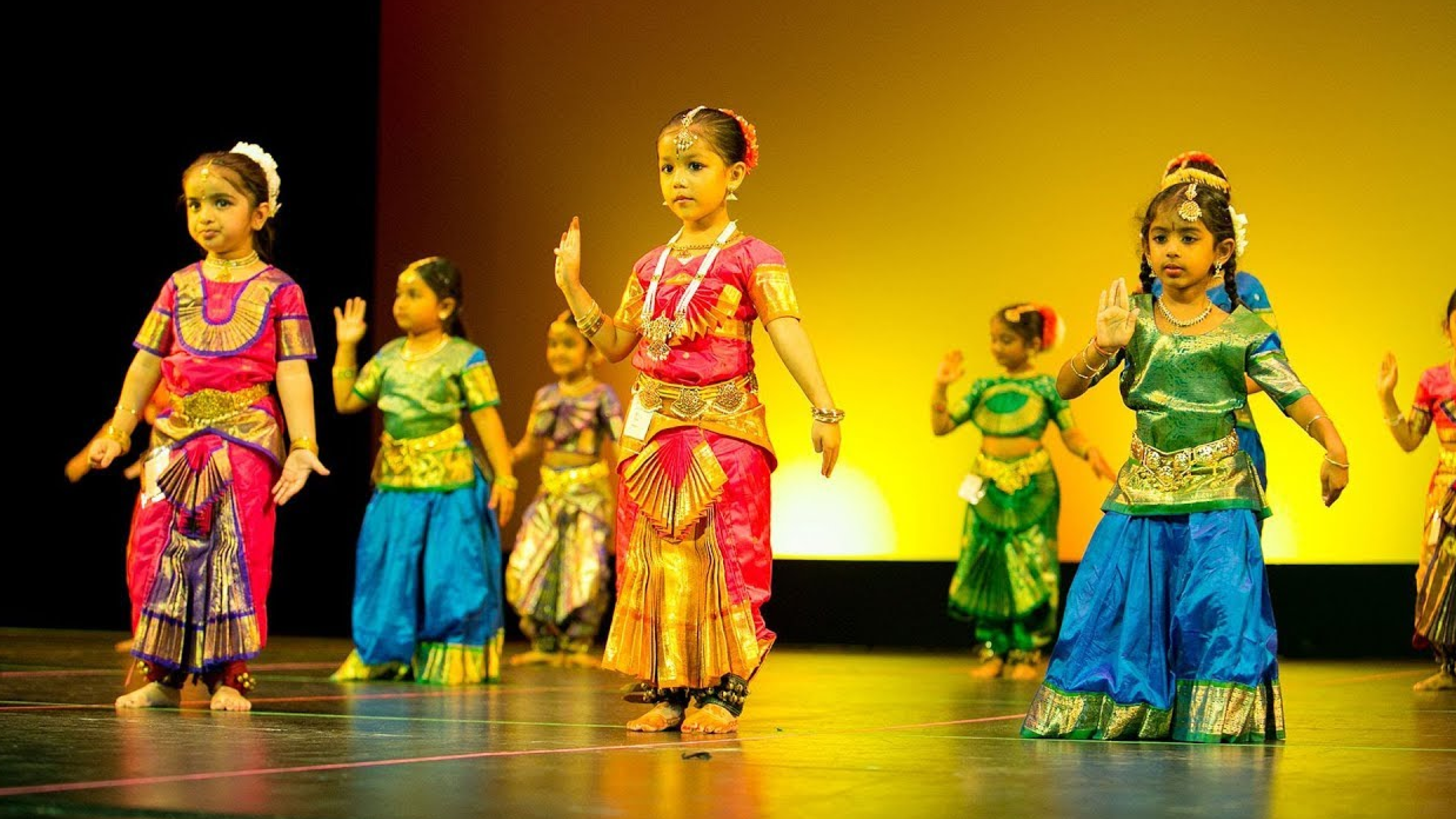 Delhi Public School, Vidyut Nagar
